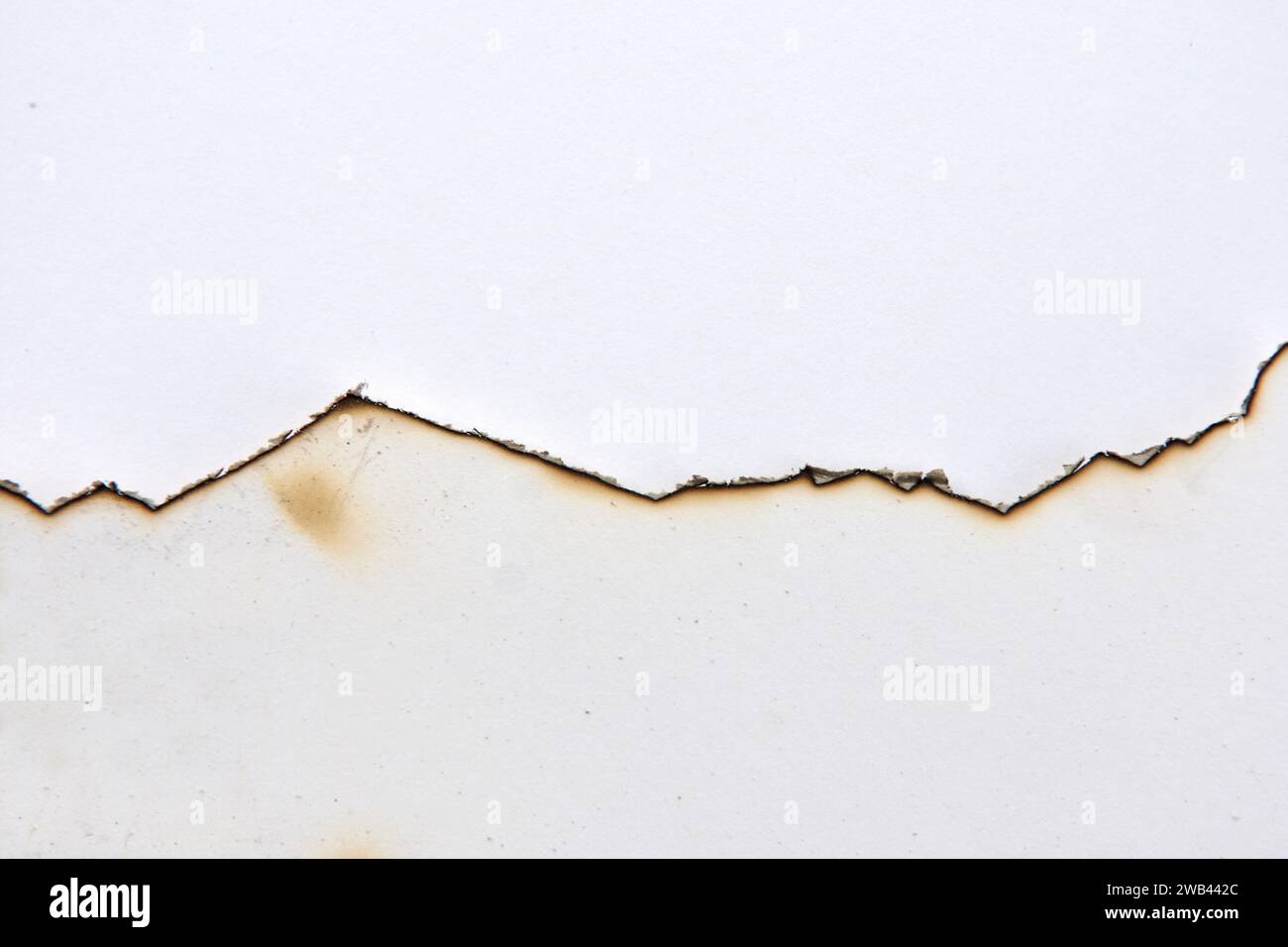 line of burnt paper on white background Stock Photo - Alamy