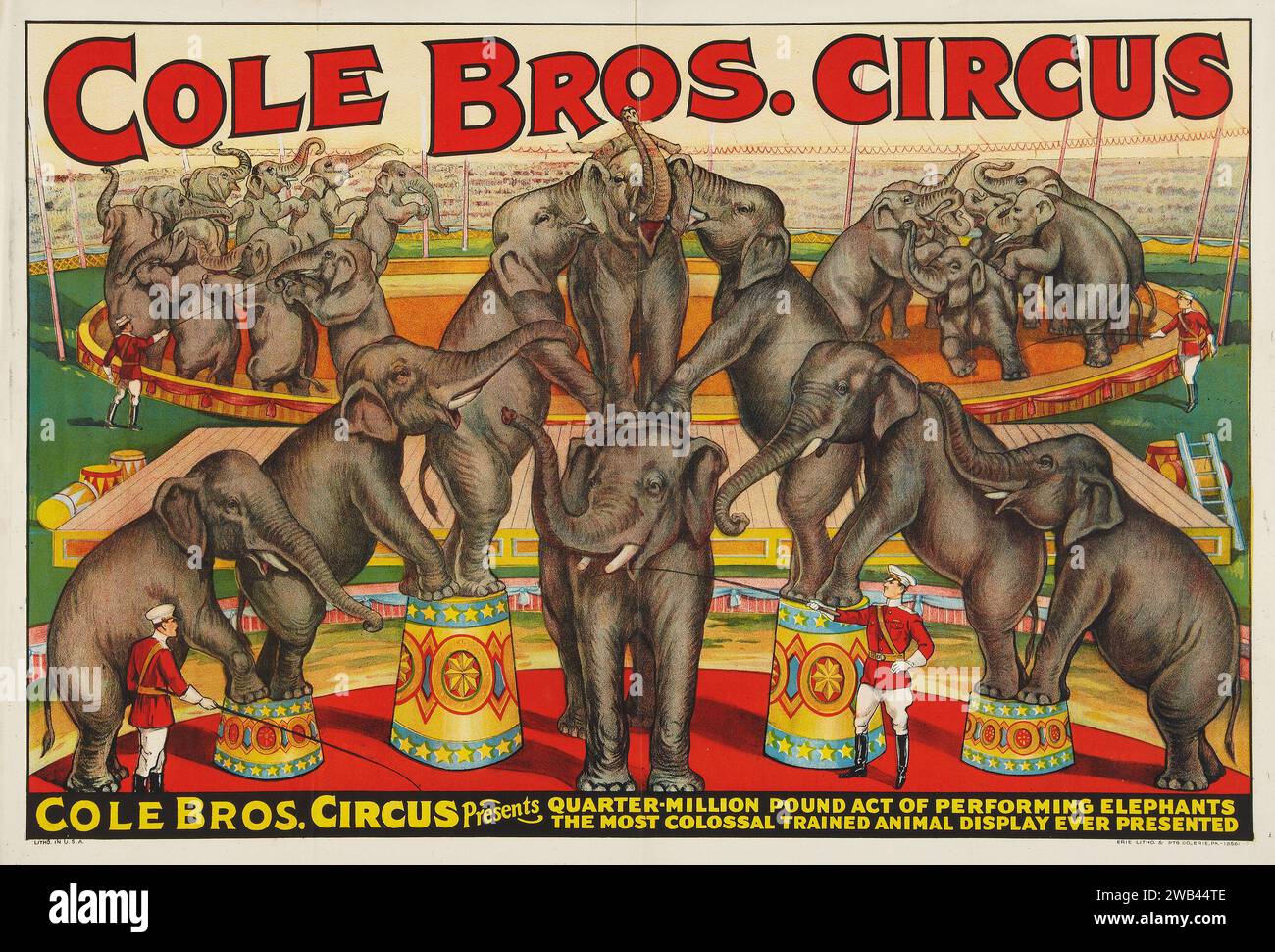 Circus Poster (Cole Brothers, 1930s) feat circus elephants Stock Photo - Alamy