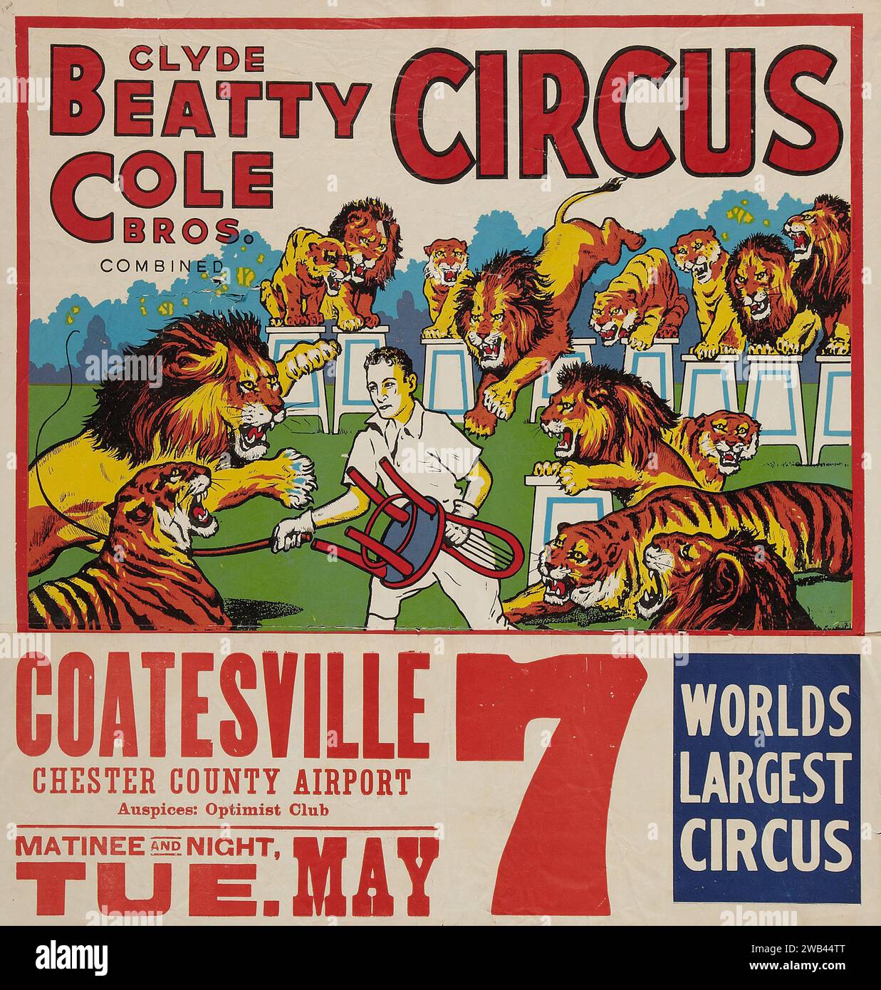 Circus Poster (Clyde Beatty-Cole Brothers Circus, Coatesville, Chester ...