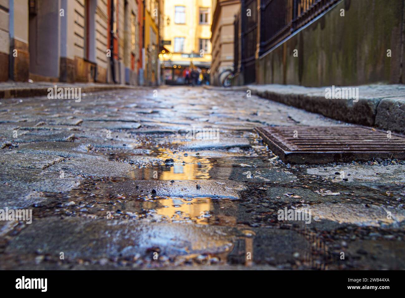 Wet cobblestones close up hi-res stock photography and images - Alamy