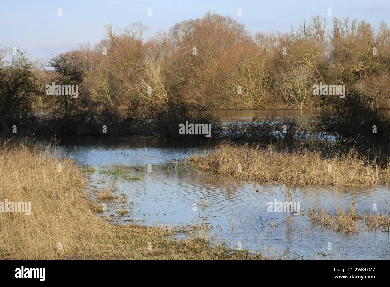 Dark stripes caused by Shadows in the Flood area Stock Photo - Alamy