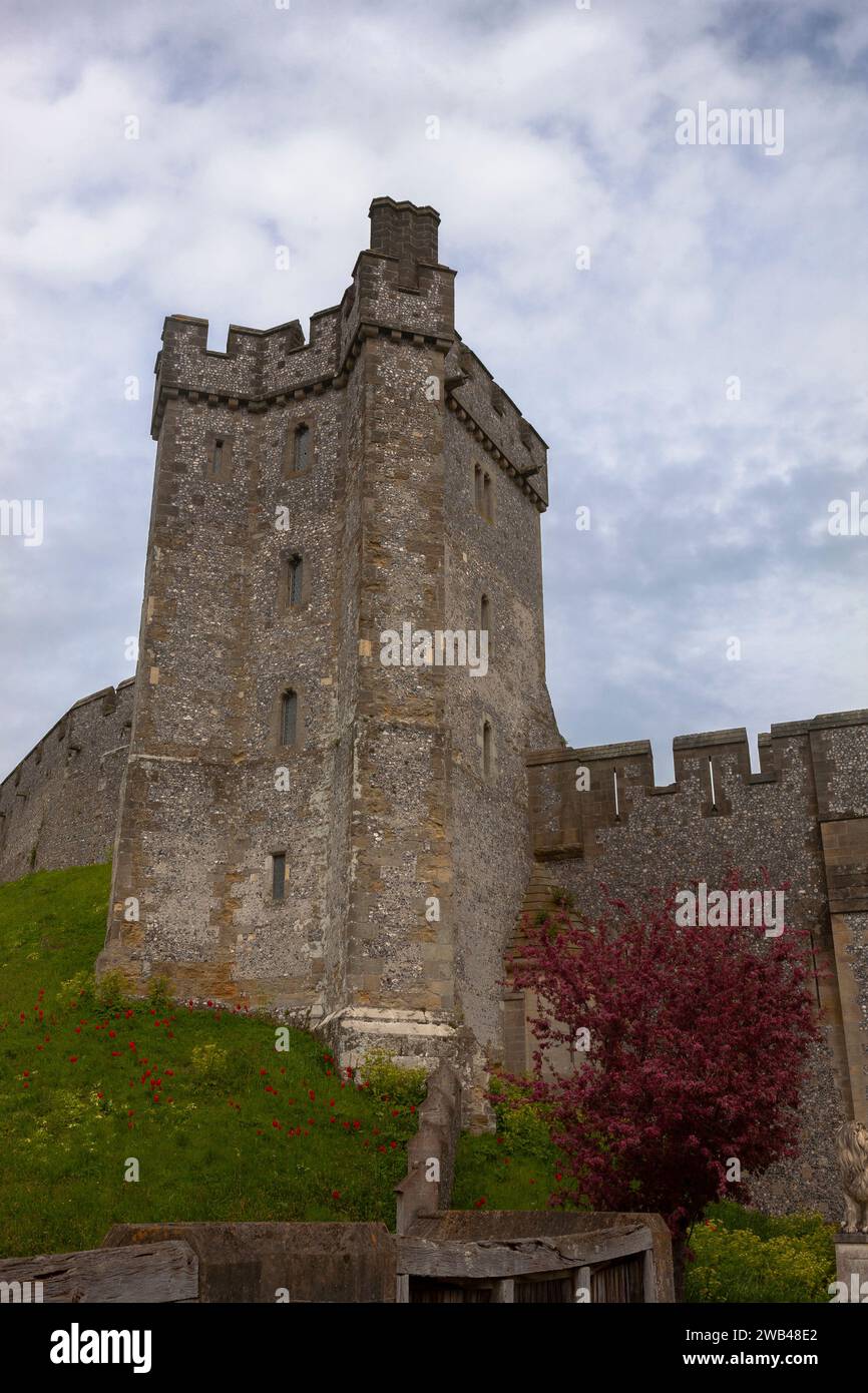 C13th century Bevis Tower, Arundel Castle, West Sussex, England, UK ...
