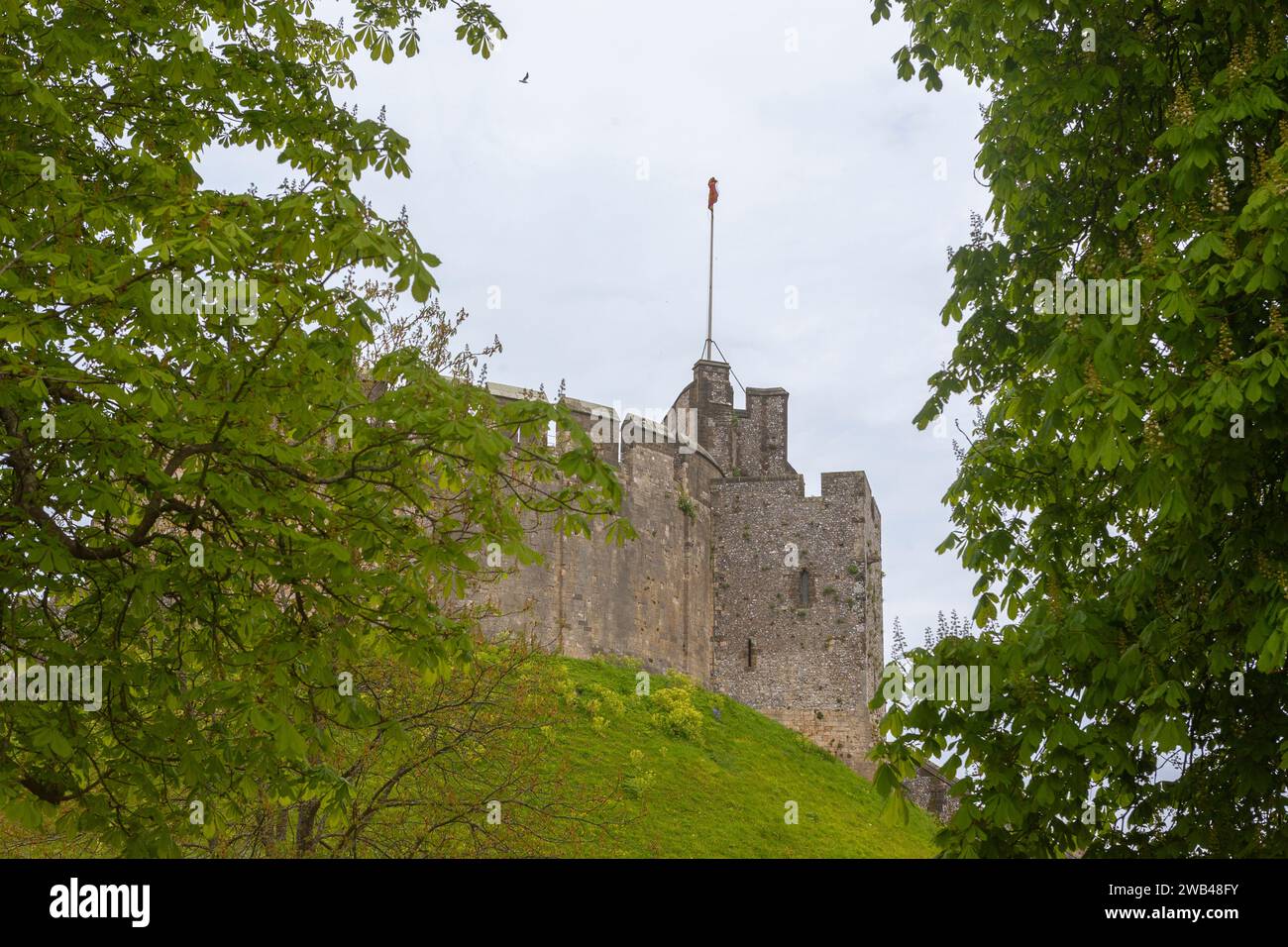 The original Norman 20 metre-high motte, surmounted by the 12th century ...