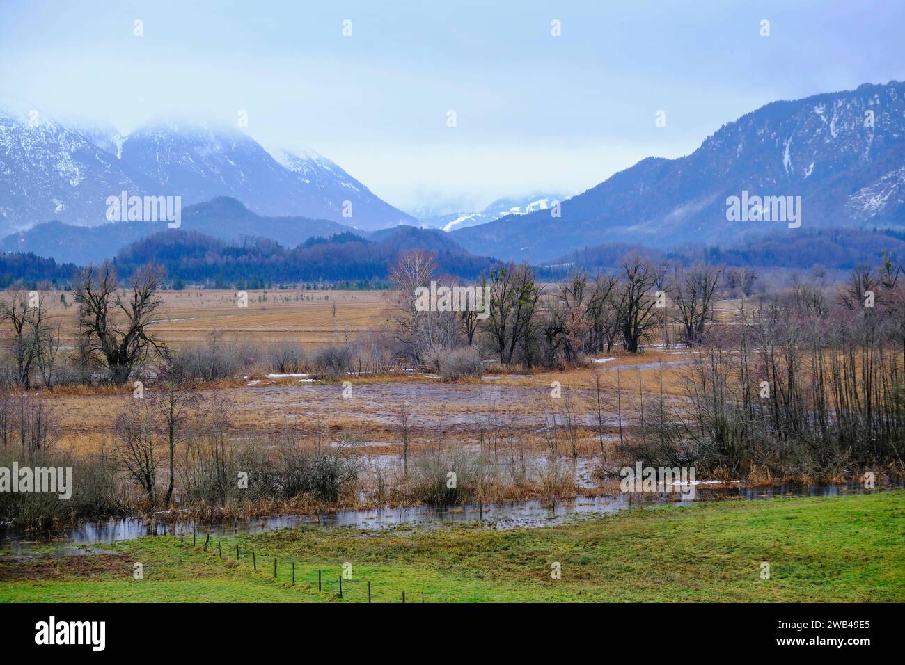 Moos ebene hi-res stock photography and images - Alamy