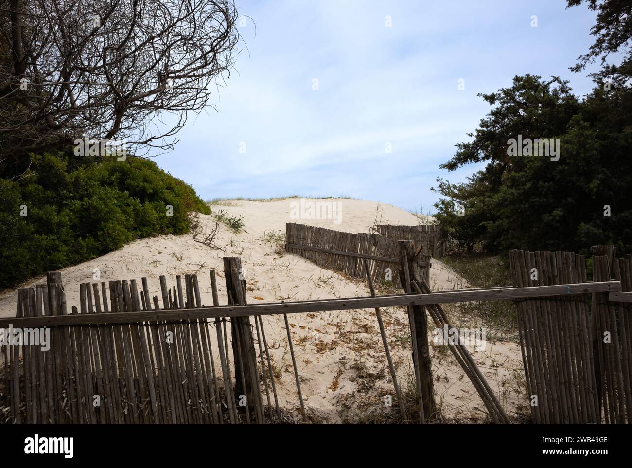 Wooden erosion fence on sand hi-res stock photography and images - Alamy