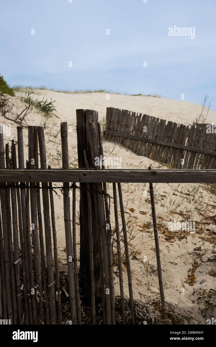 Wooden erosion fence on sand hi-res stock photography and images - Alamy
