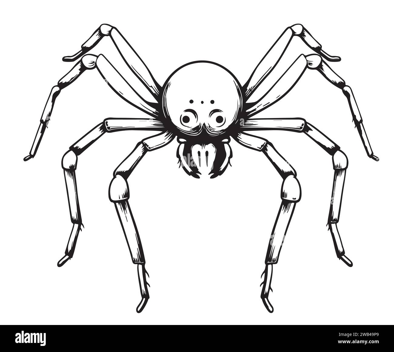 Spider insect sketch hand drawn in doodle style illustration Stock ...