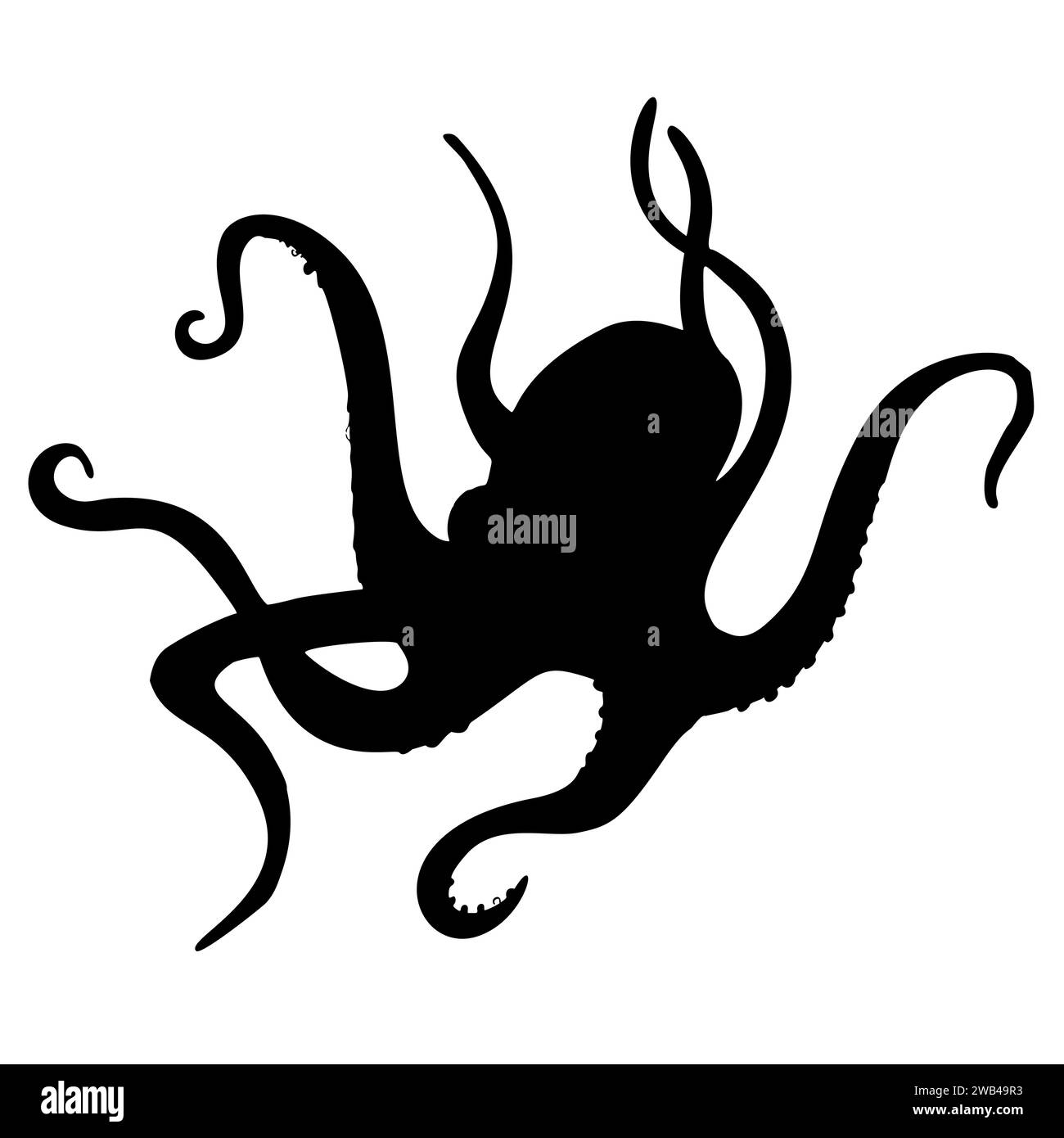 Octopus vector silhouette. Illustration of underwater wild animal with ...