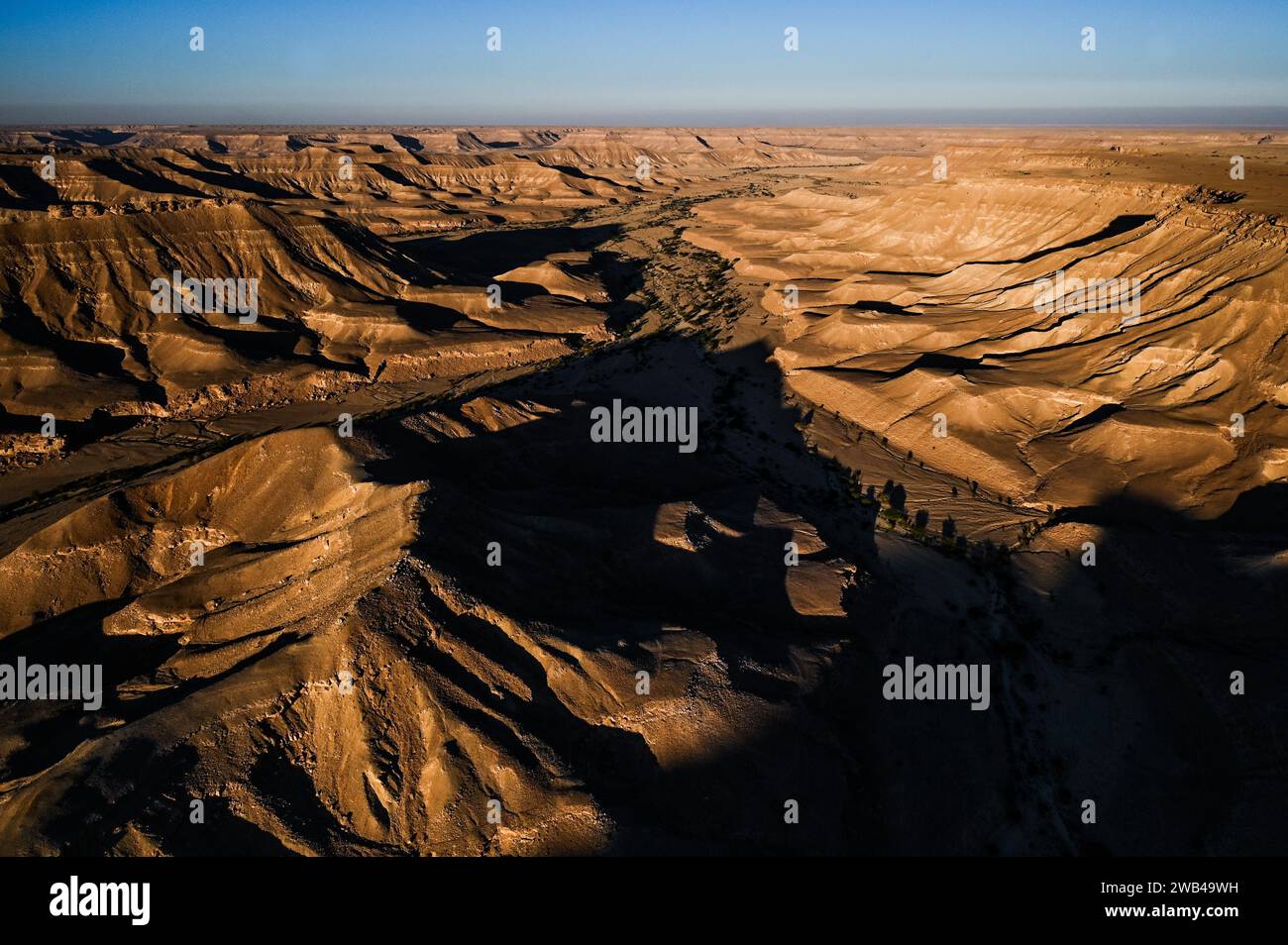 Al Salamiya, Arabie Saoudite. 08th Jan, 2024. Landscapes during the ...