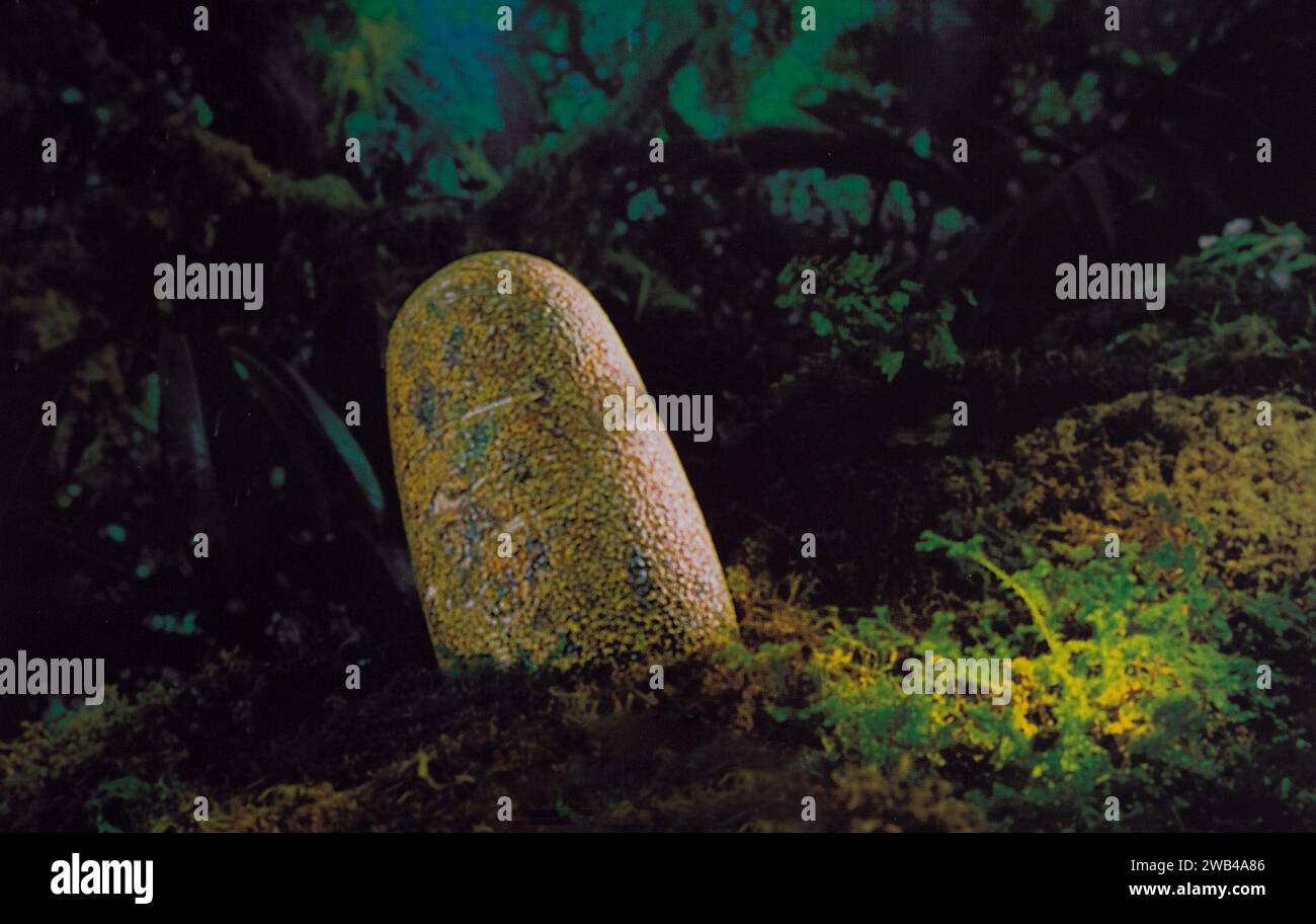 Director eric leighton hi-res stock photography and images - Alamy