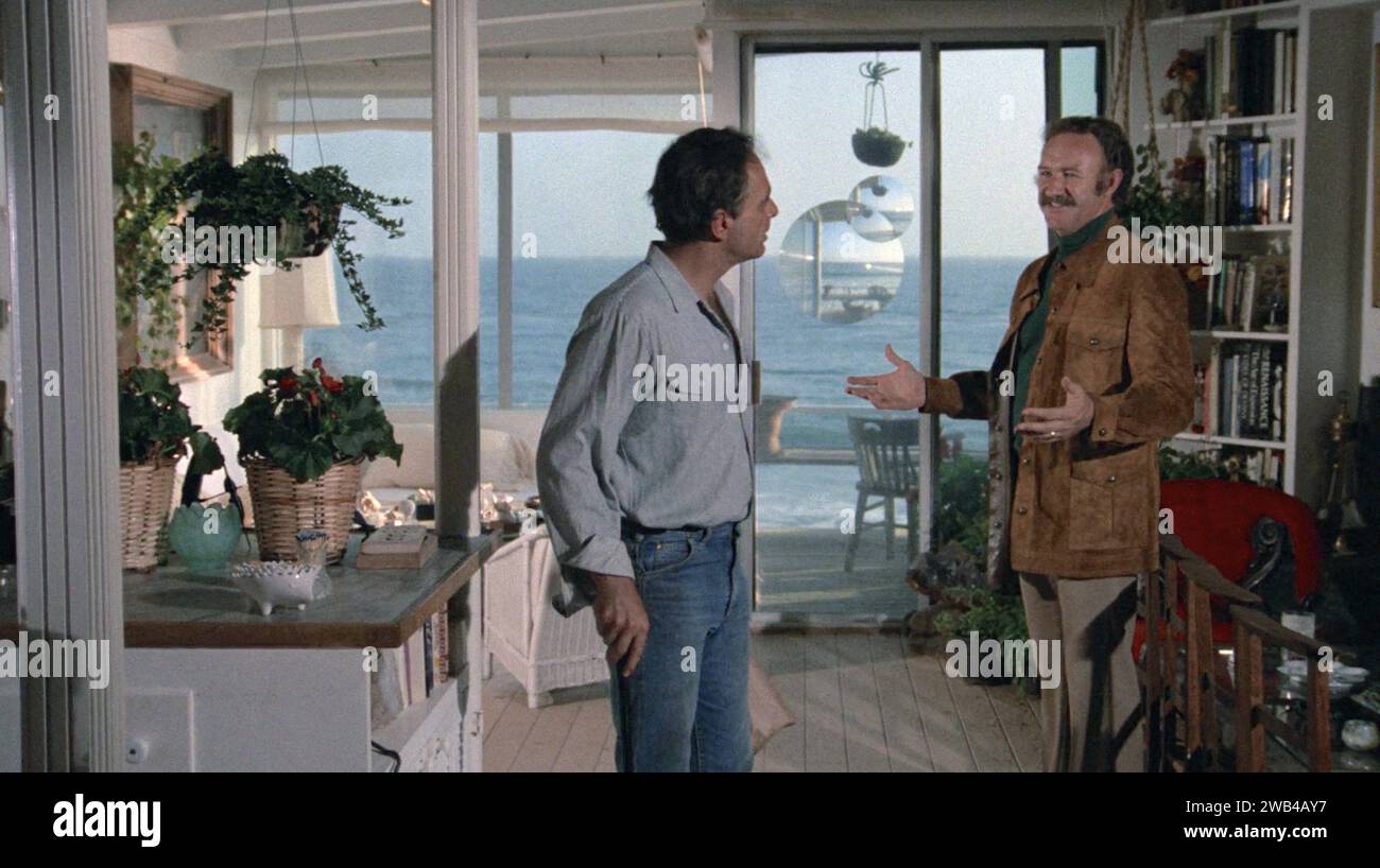 Night Moves Year : 1975 USA Director : Arthur Penn Harris Yulin, Gene ...