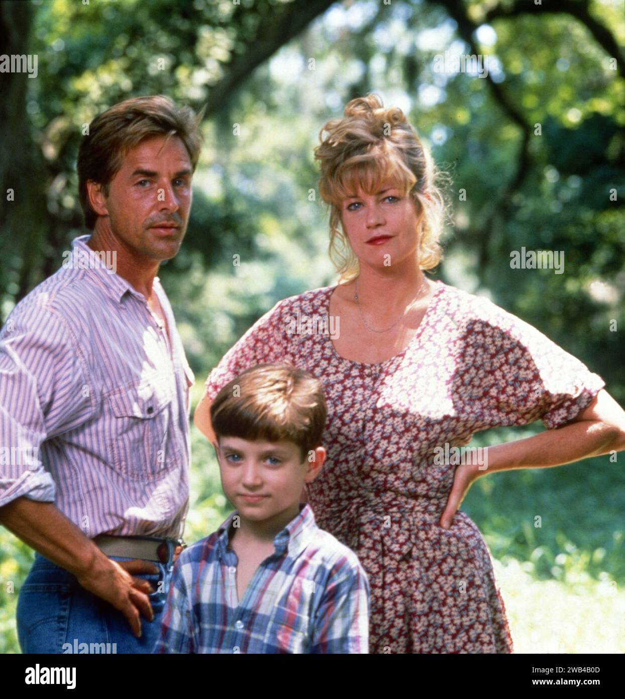 Paradise Year : 1991 USA Director : Mary Agnes Donoghue Don Johnson ...