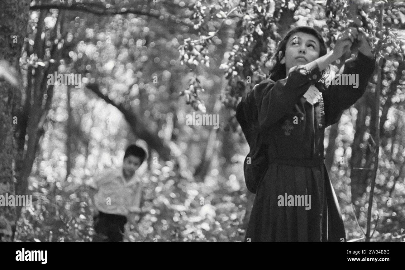 Kasaba Year : 1997 Turkey Director : Nuri Bilge Ceylan Stock Photo - Alamy