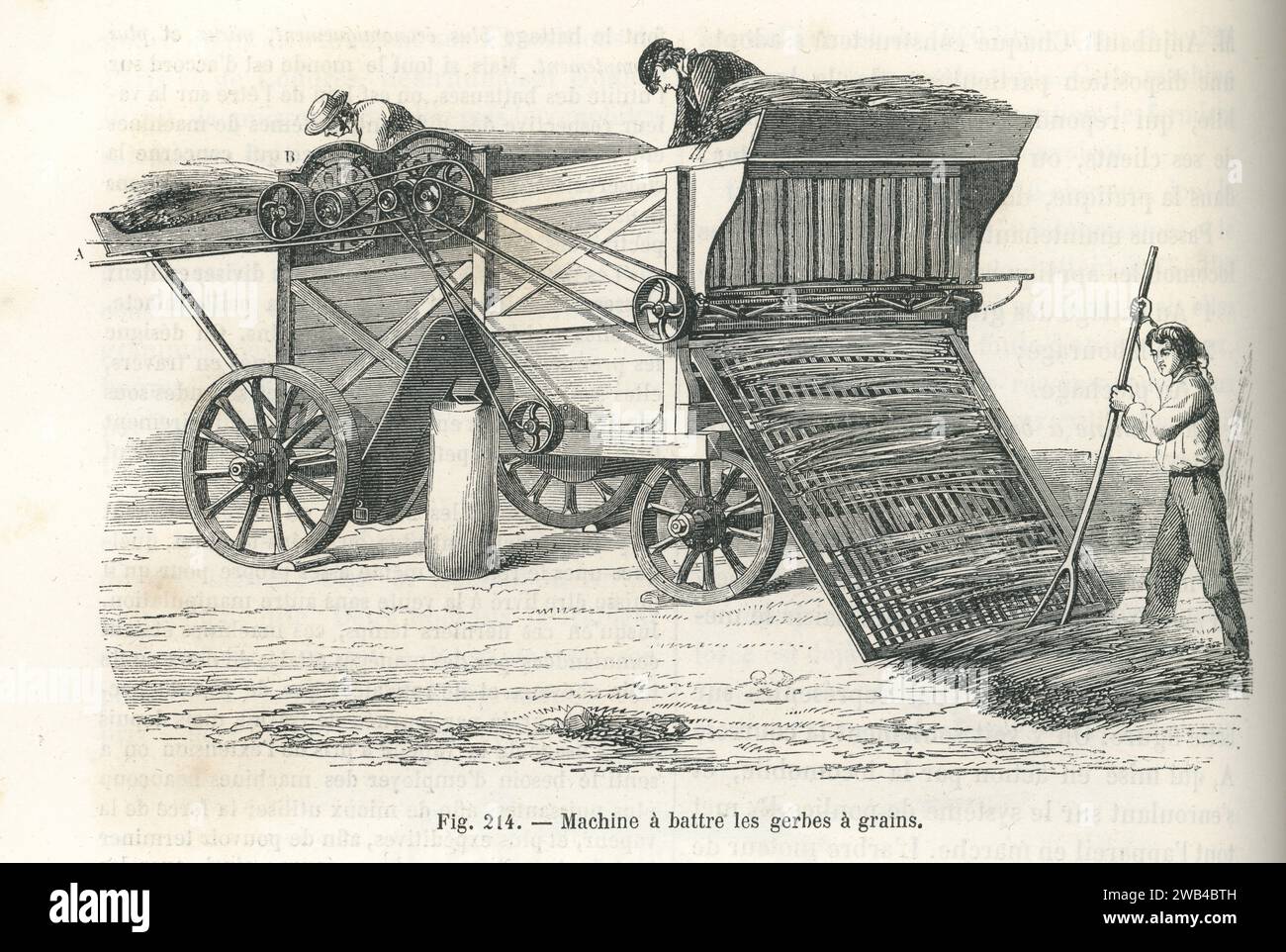 Grain threshing machine connected to a steam portable engine. Circa ...