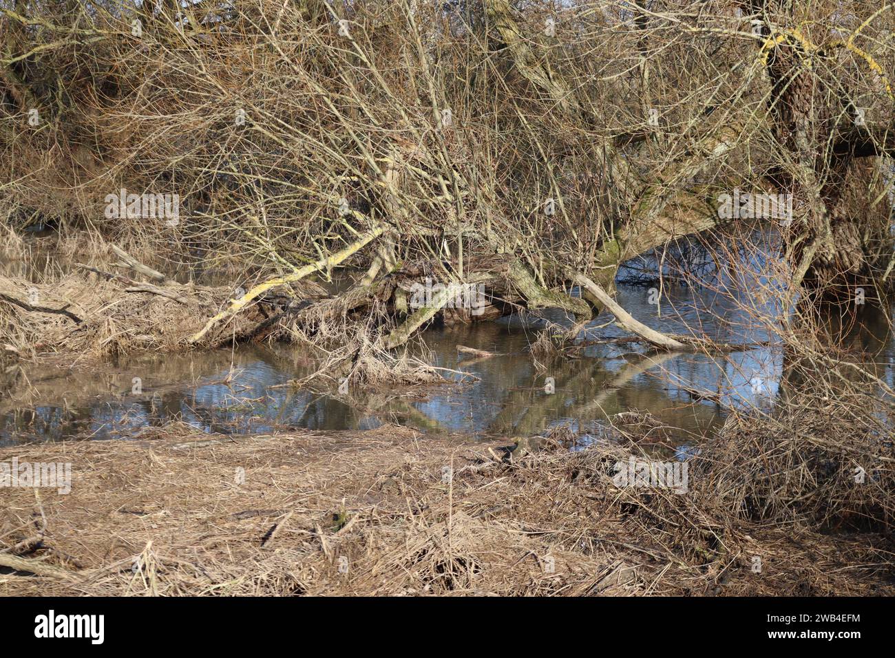 completely demolished Bank area after heavy Flooding Stock Photo - Alamy