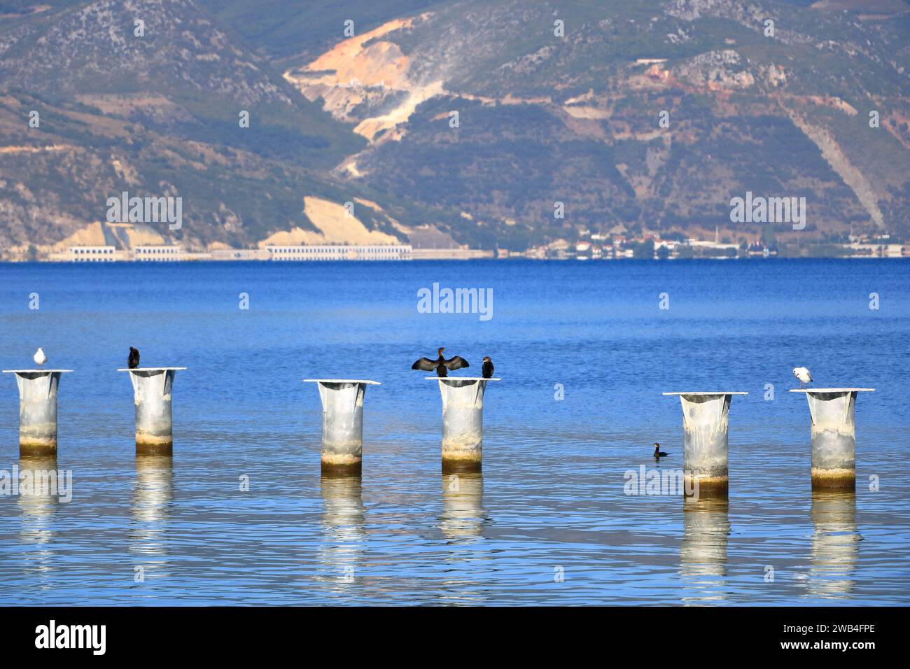 Gora albania hi-res stock photography and images - Alamy