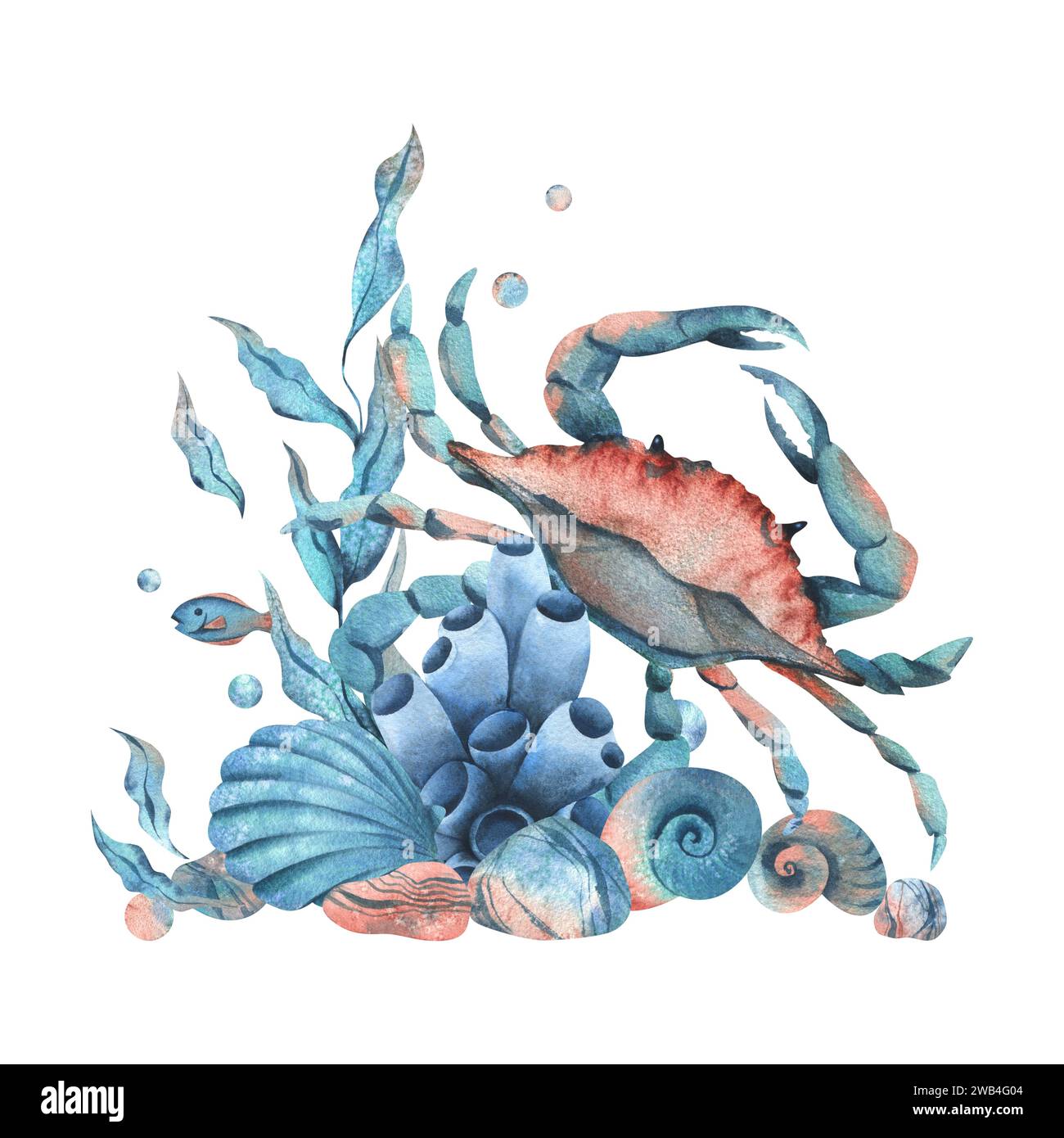 Underwater world clipart with sea animals crab, shells, coral and algae ...