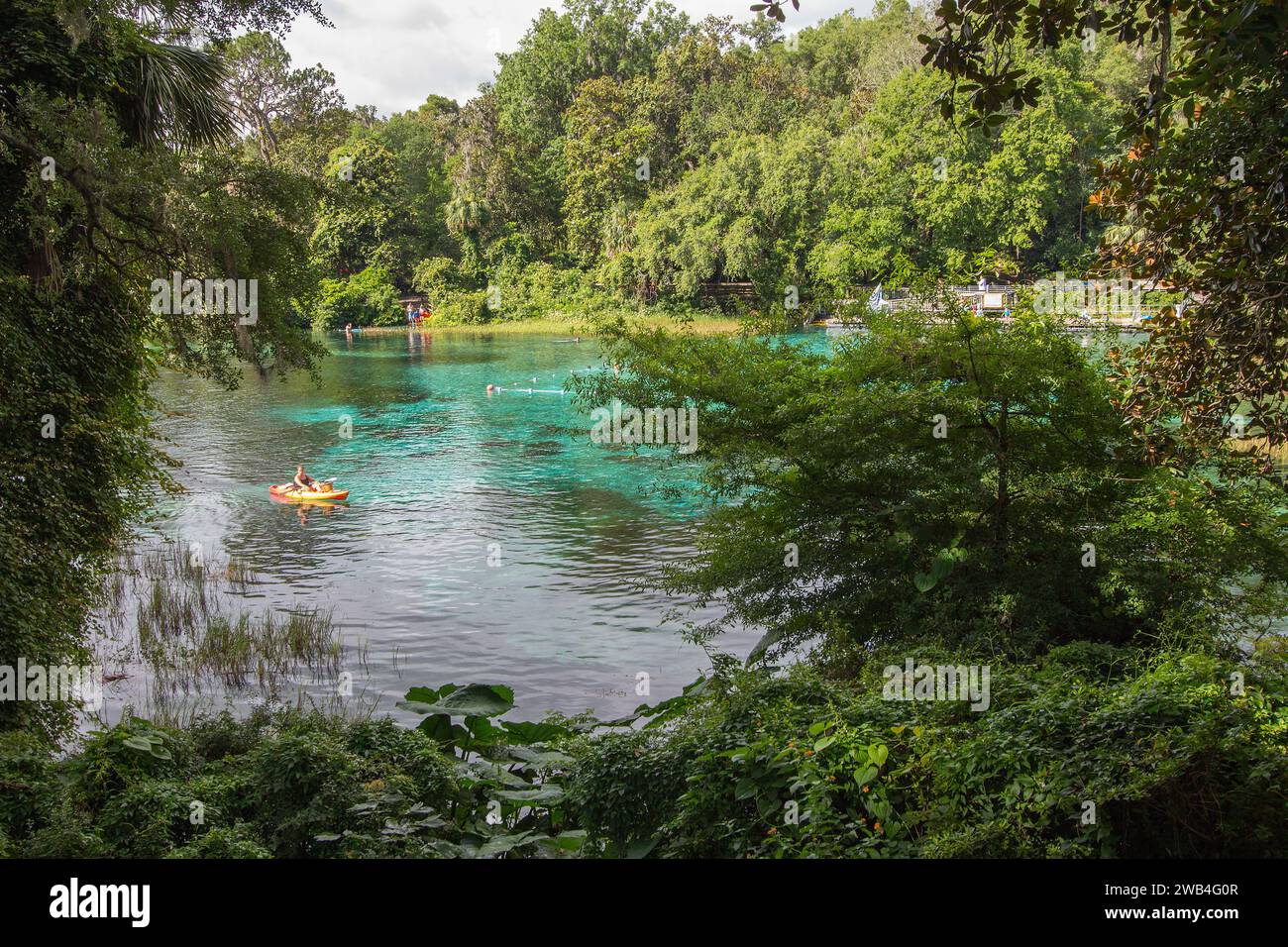 Rainbow Springs State Park, Florida Stock Photo - Alamy