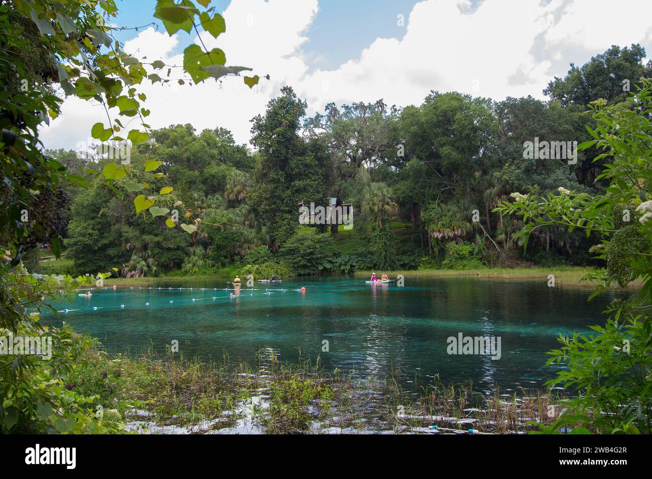 Rainbow Springs State Park, Florida Stock Photo - Alamy
