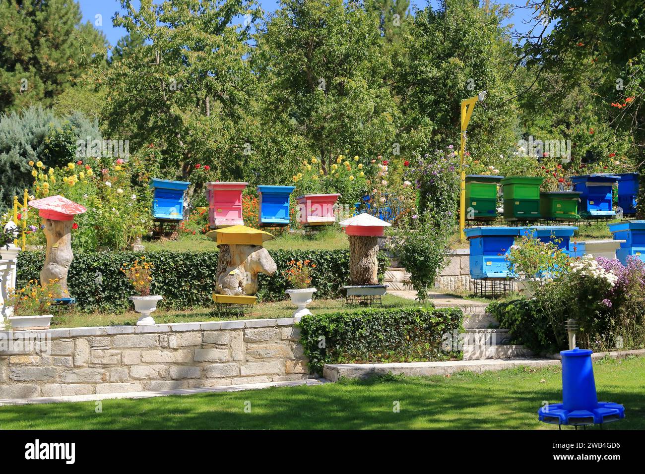 Colorful Beehives in Albania. Collection of Hives with Colonies of Bees ...