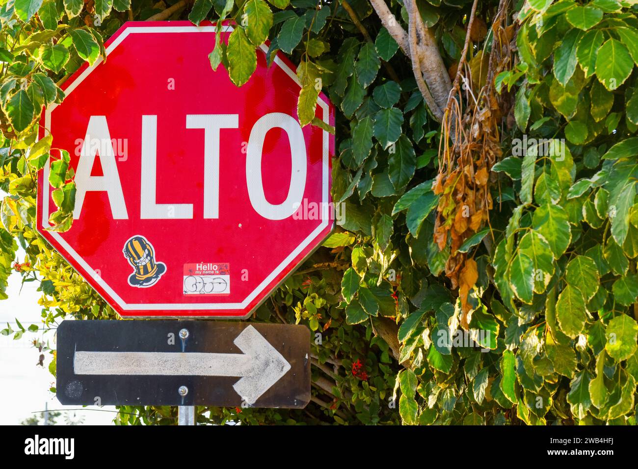 Stop sign, Merida Mexico Stock Photo - Alamy