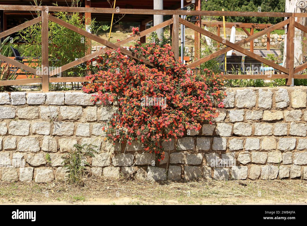 yellow beige natural stone wall of different sized stones, traditional ...