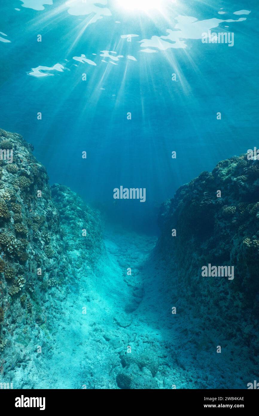 Underwater trench in the reef with sunlight in the Pacific ocean ...
