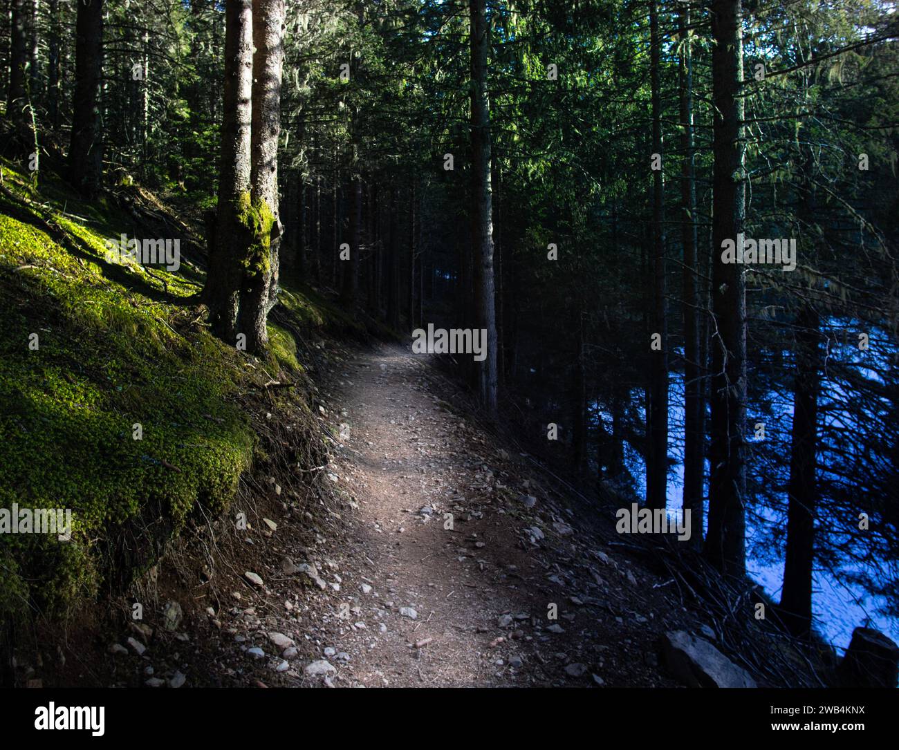 A meandering country road winds along a forest in Les 7 Laux, France ...