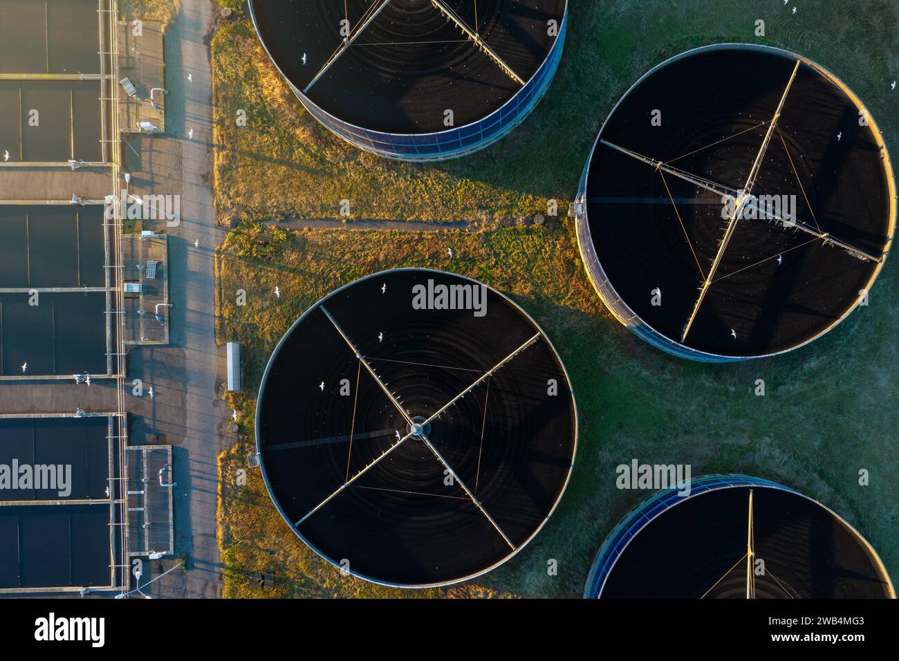 Aerial top down view of sewage treatment plant. Industrial water ...
