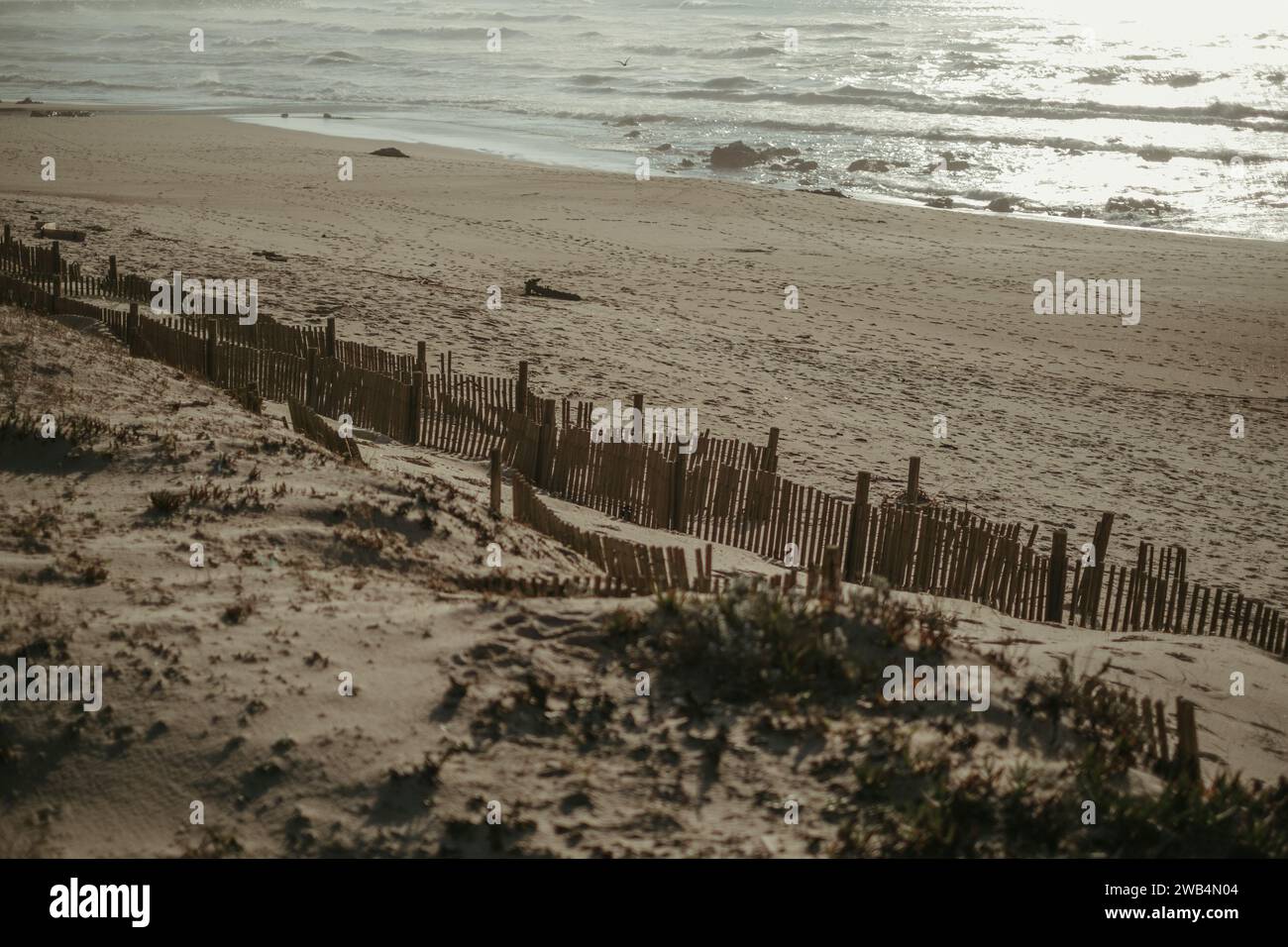 An image of a wooden fence situated in a sandy beach, with visible blue ...