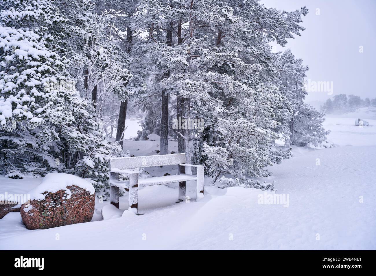 A wooden bench stands in a picturesque winter landscape, surrounded by ...