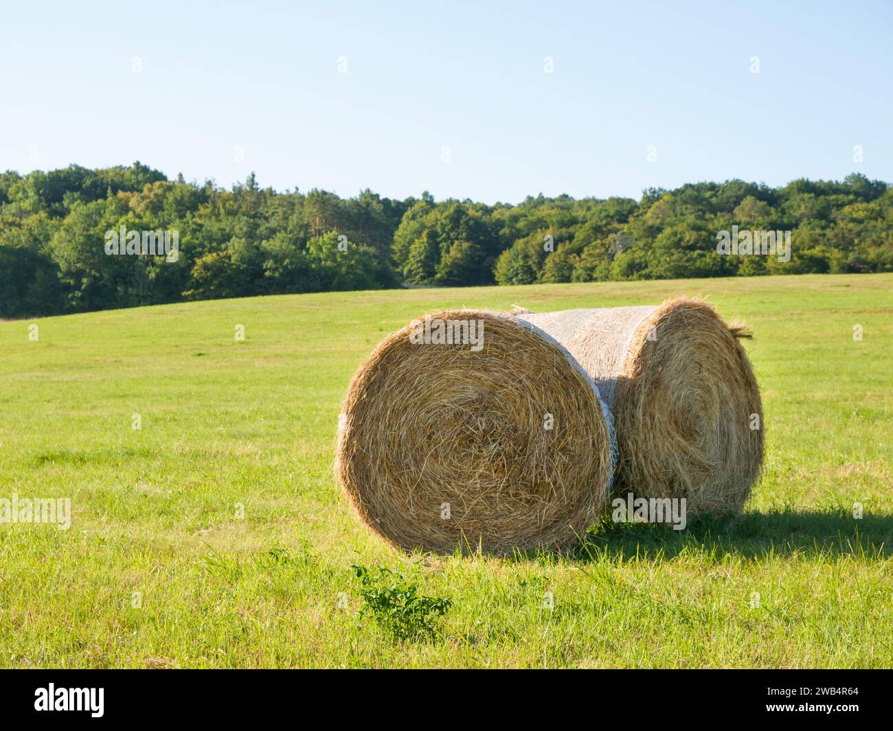 Summer hay hi-res stock photography and images - Alamy