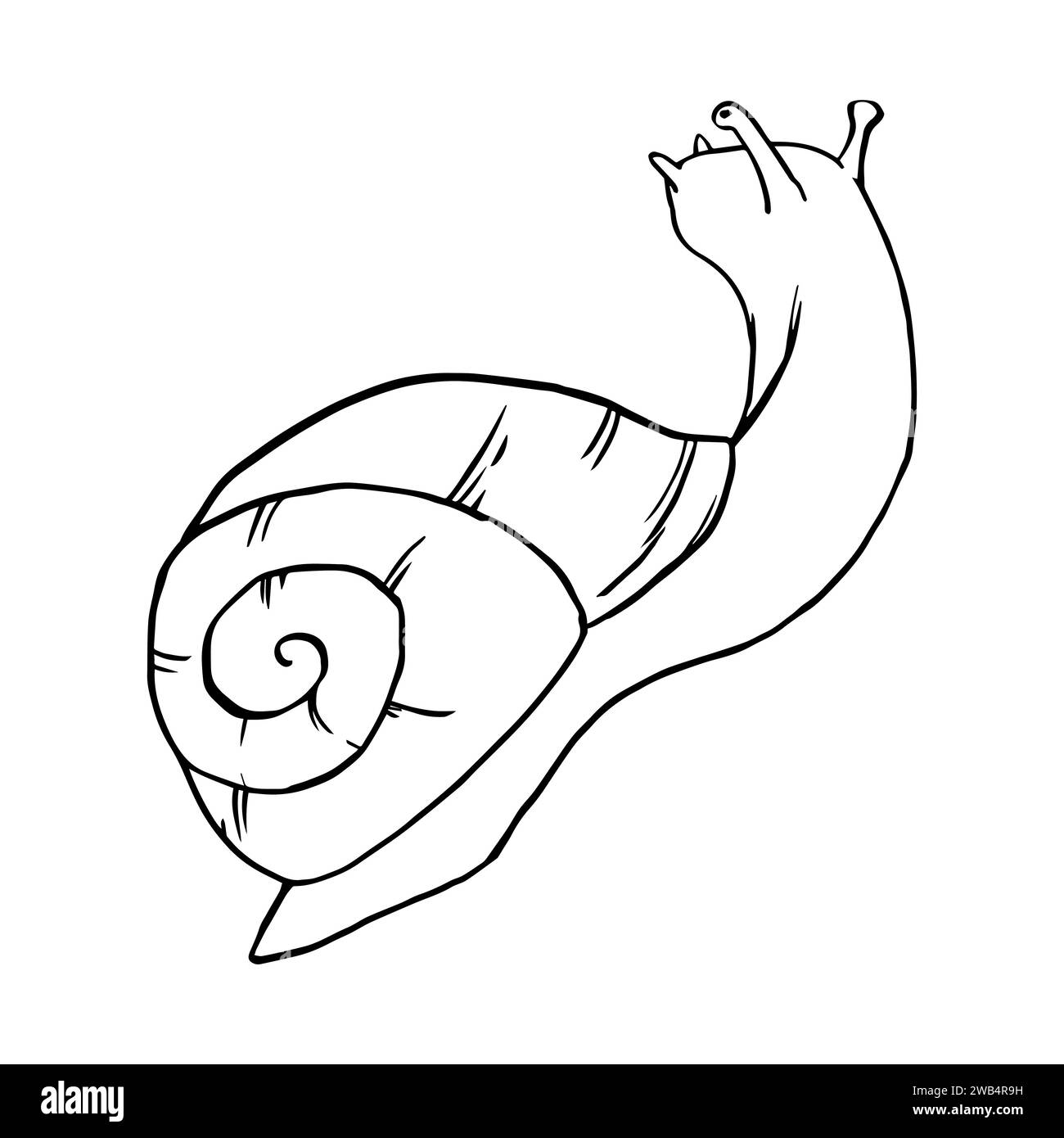 Black contour linear silhouette snail. Vector simple flat graphic ...