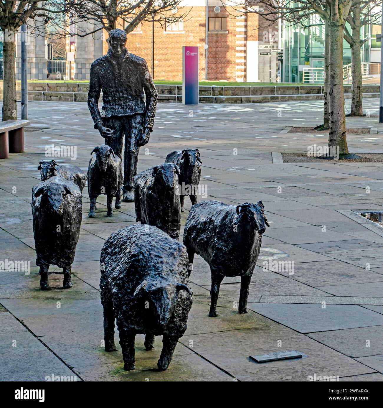 Sheep on the Road, a bronze sculpture by Deborah Brown on Donegall Quay ...