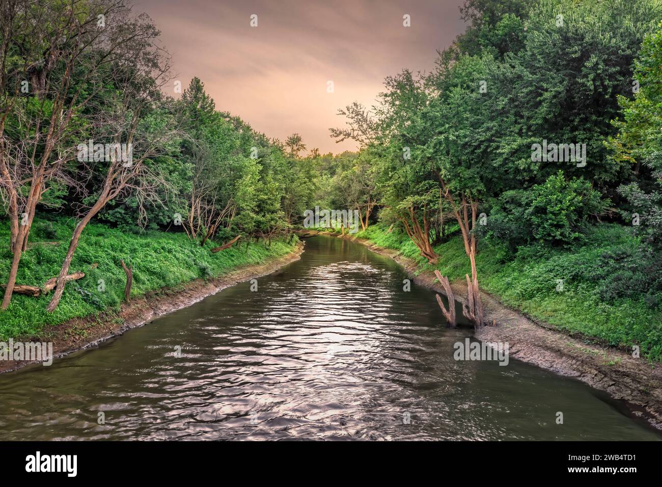 A tranquil outdoor scene featuring a body of water with tall trees ...