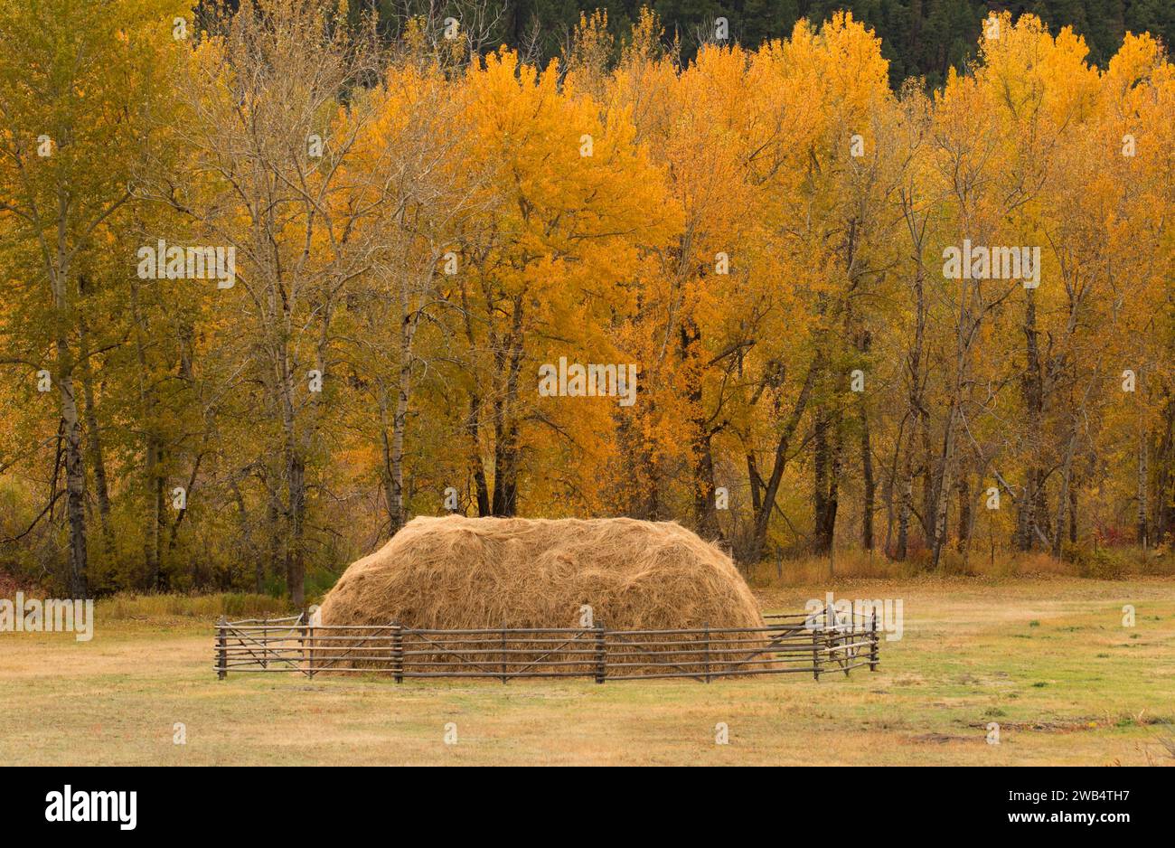 Little haystack hi-res stock photography and images - Alamy