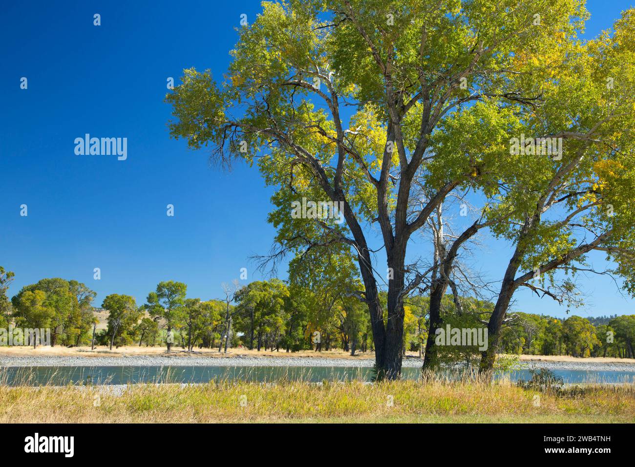 Pelican fishing access site hi-res stock photography and images - Alamy