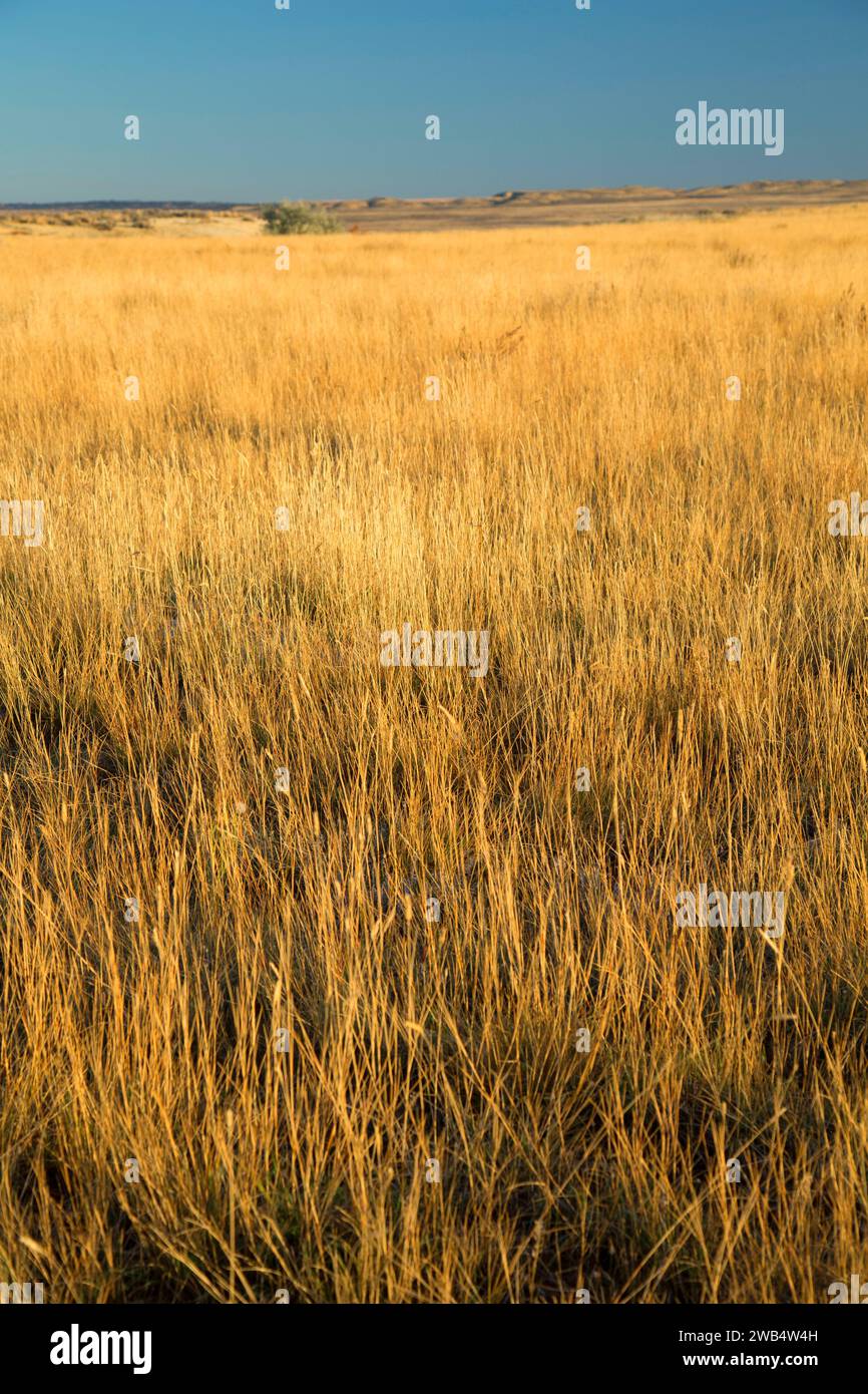 Treasure montana hi-res stock photography and images - Alamy