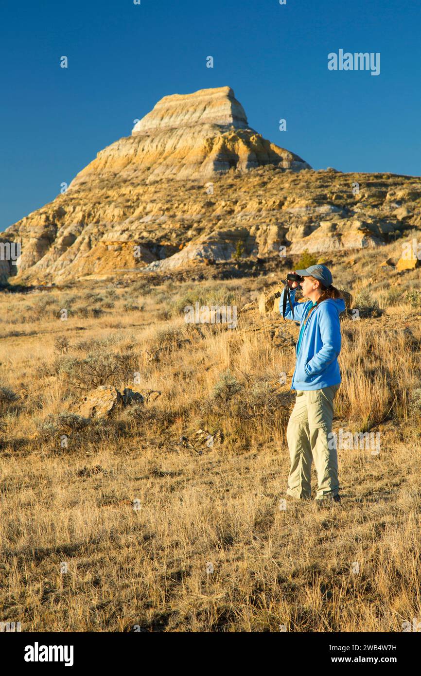 Terry Badlands, Terry Badlands Wilderness Study Area, Montana Stock ...
