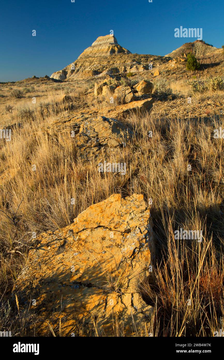 Terry Badlands, Terry Badlands Wilderness Study Area, Montana Stock ...