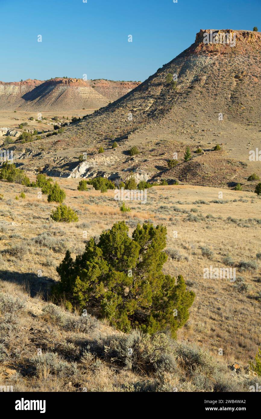 Terry badlands wilderness hi-res stock photography and images - Alamy