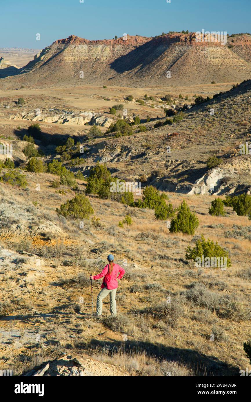 Terry badlands hi-res stock photography and images - Alamy
