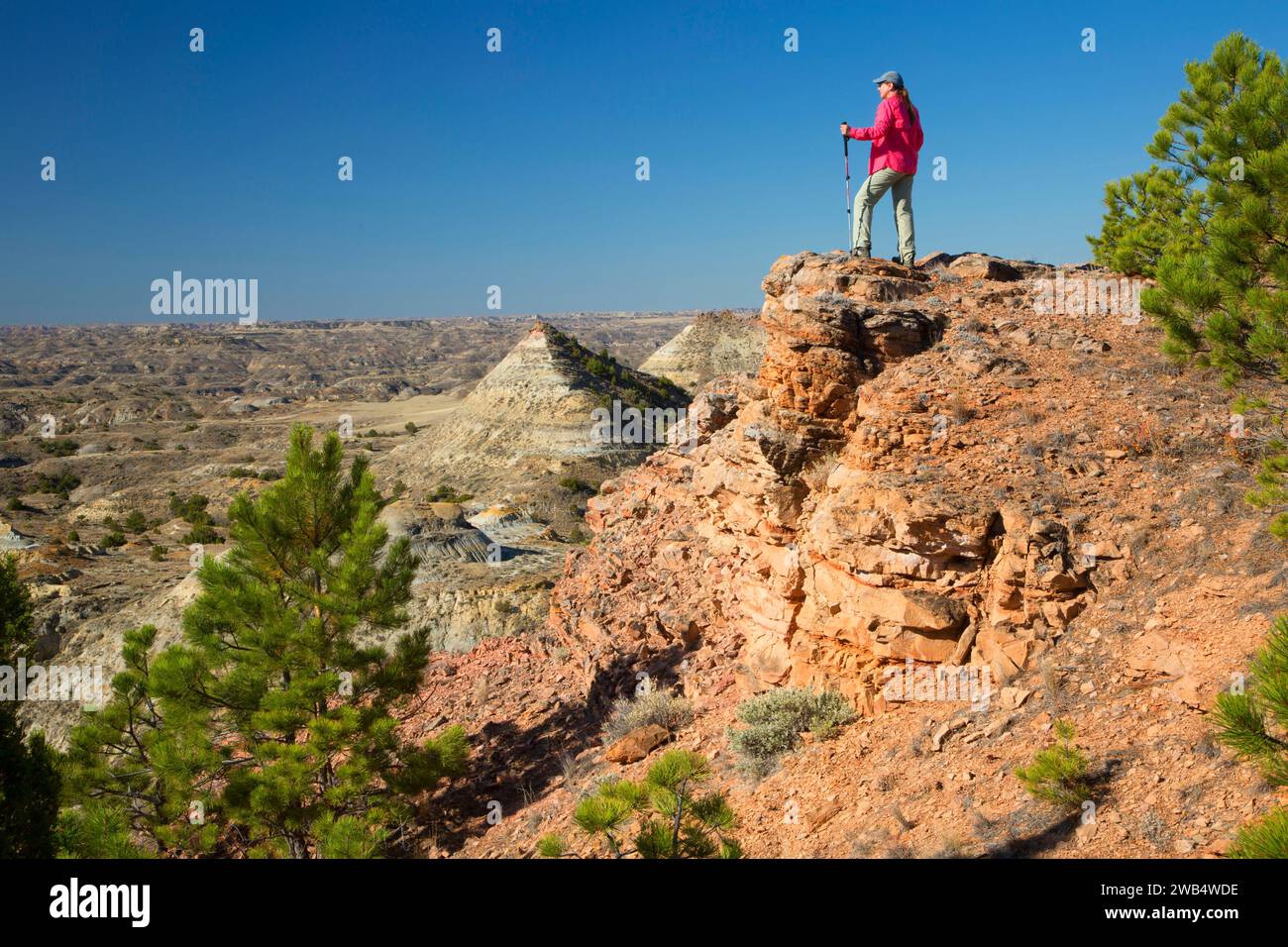 Terry Badlands pine from Scenic View Overlook, Terry Badlands ...