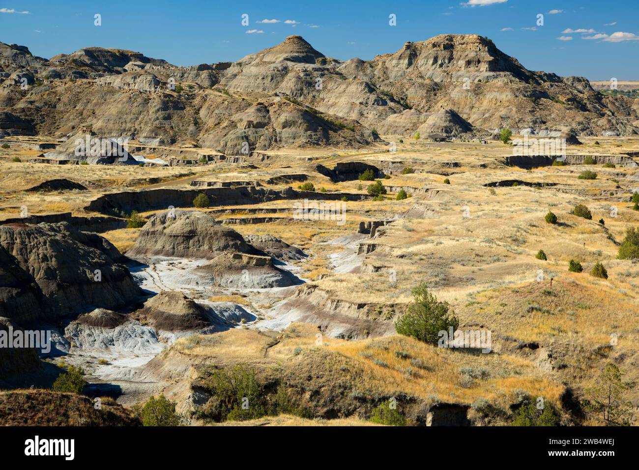 Badlands along Hadrosaur Trail, Makoshika State Park, Montana Stock ...