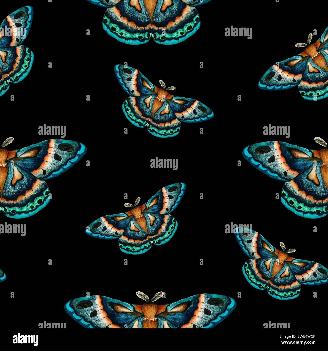 Watercolor seamless pattern blue green moth isolated on black ...