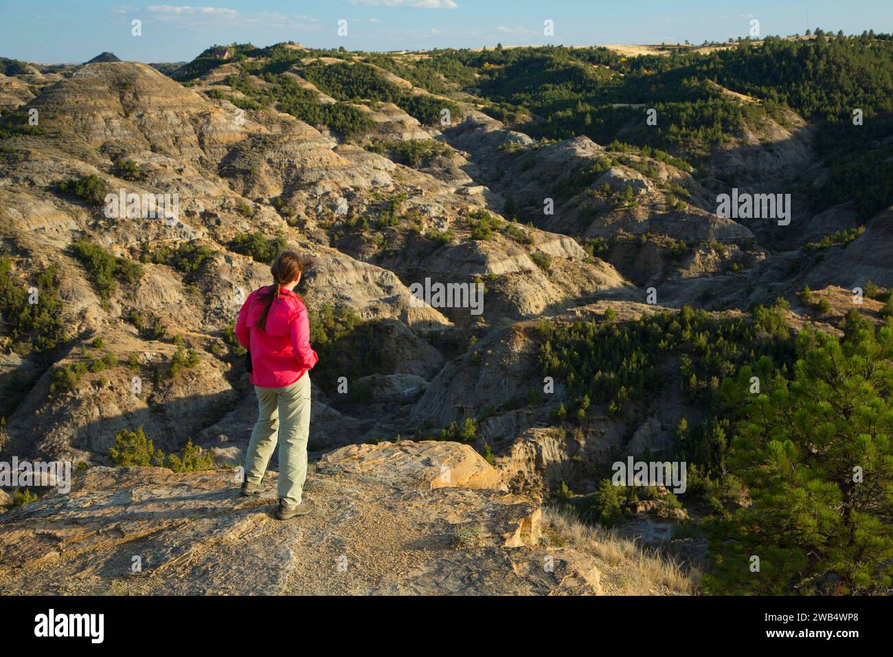 Coulee Kinney Drainage District at Adolfo Scanlan blog