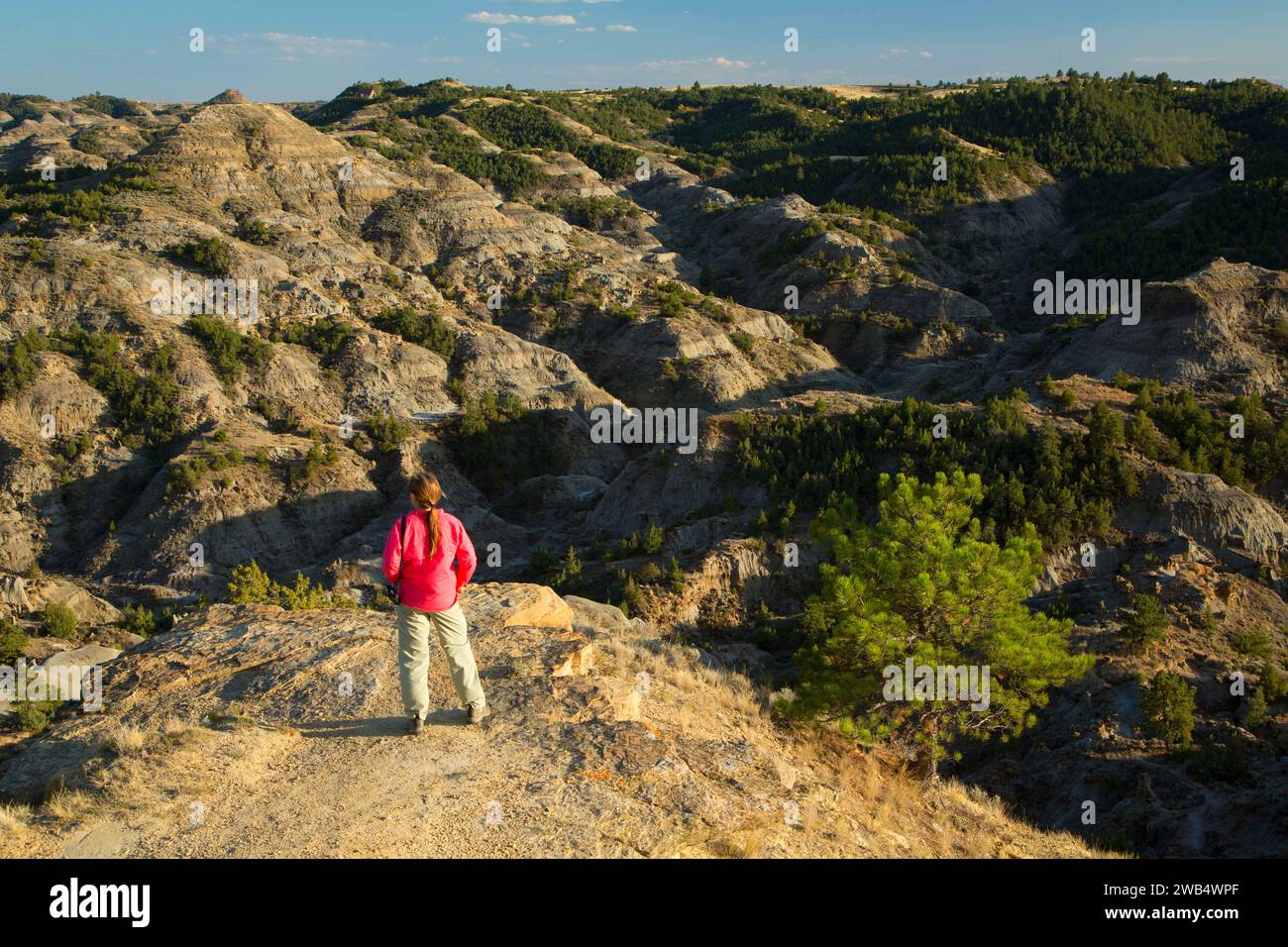 Coulee Kinney Drainage District at Adolfo Scanlan blog