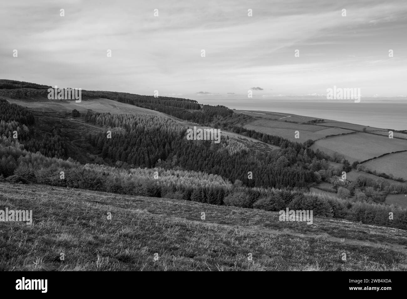 View of Porlock Common at the top of Porlock Hill in Exmoor Natioanl ...