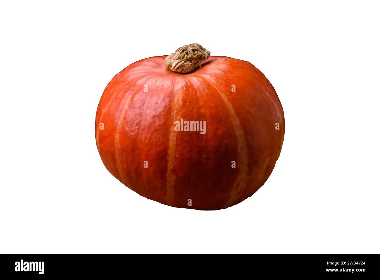 Beautiful fresh round pumpkins in orange color on a dark concrete ...