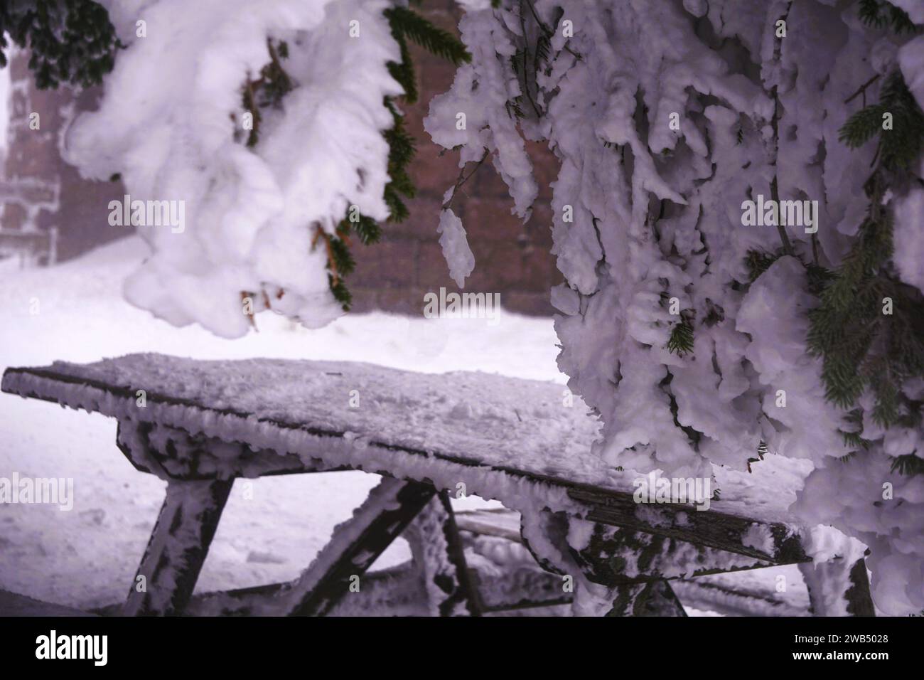 A wooden outdoor bench in a wintery setting with freshly fallen snow ...